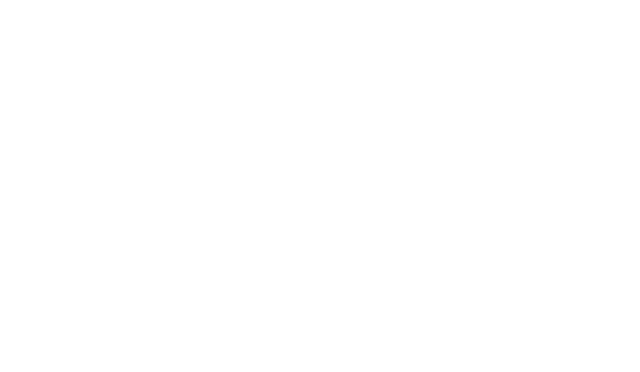 Homepage - True North Management